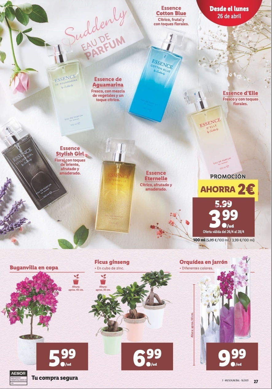 LIDL PERFUMES SUDDENLY EN PROMOCIÓN - MSGÜELYINFO